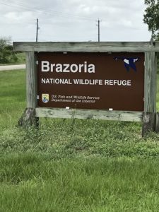 Brazoria National Wildlife Refuge - Brazosport